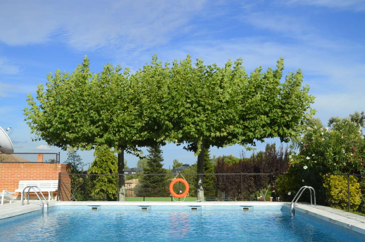 59 Innovative Ways to Attract Younger Clients to Your Pool Service ...